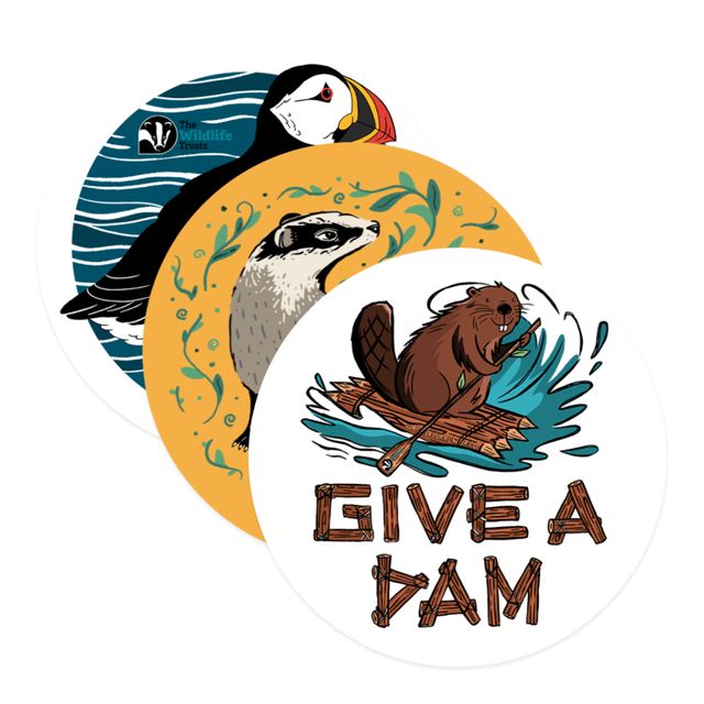 Wildlife Stickers Pack | The Wildlife Trusts Shop