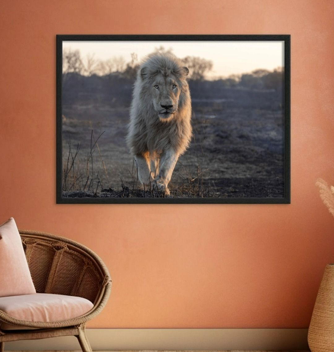 Lion Art Print - Thor