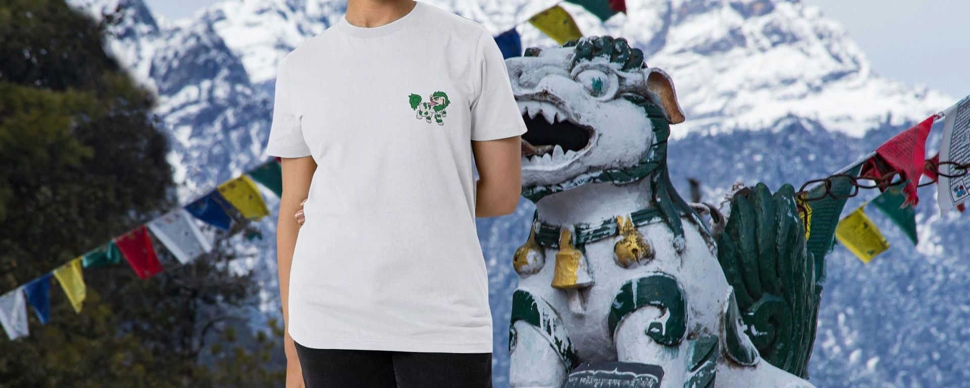 Snow Lion Collection