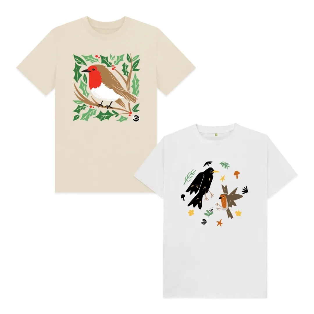 Kids' Robin Bundle