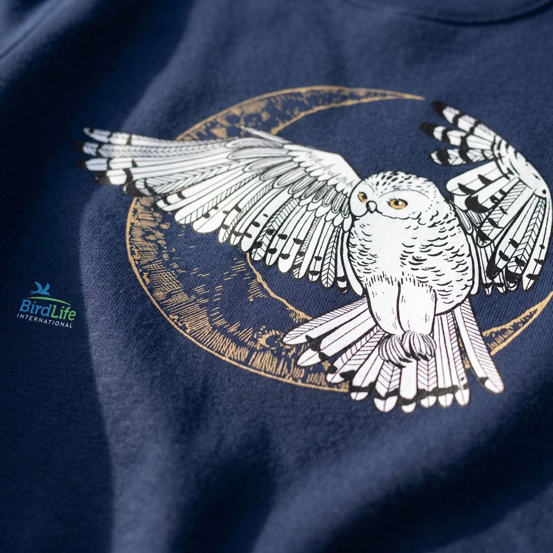 Snowy Owl Sweatshirt | Owl Print Jumper | BirdLife Store