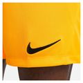 Nike Park III Shorts