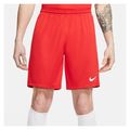 Nike Park III Shorts