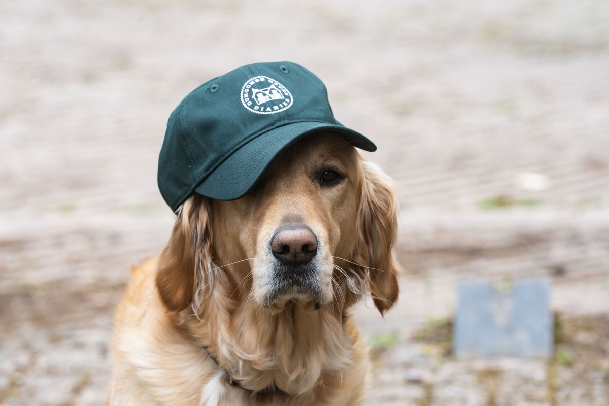 Duncombe House Diaries Shop