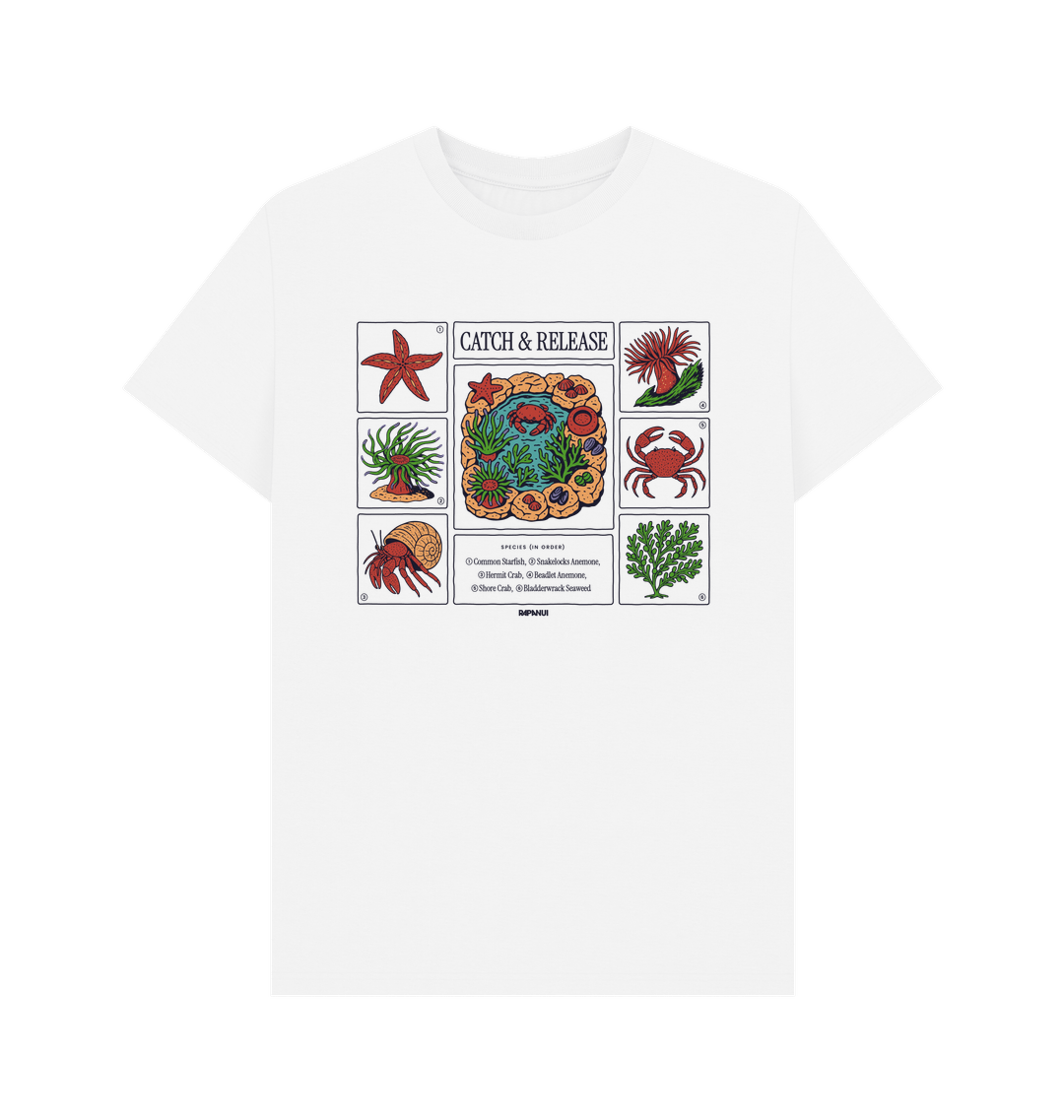 Rockpool T Shirt | Sea Creature Graphic Tee | Rapanui