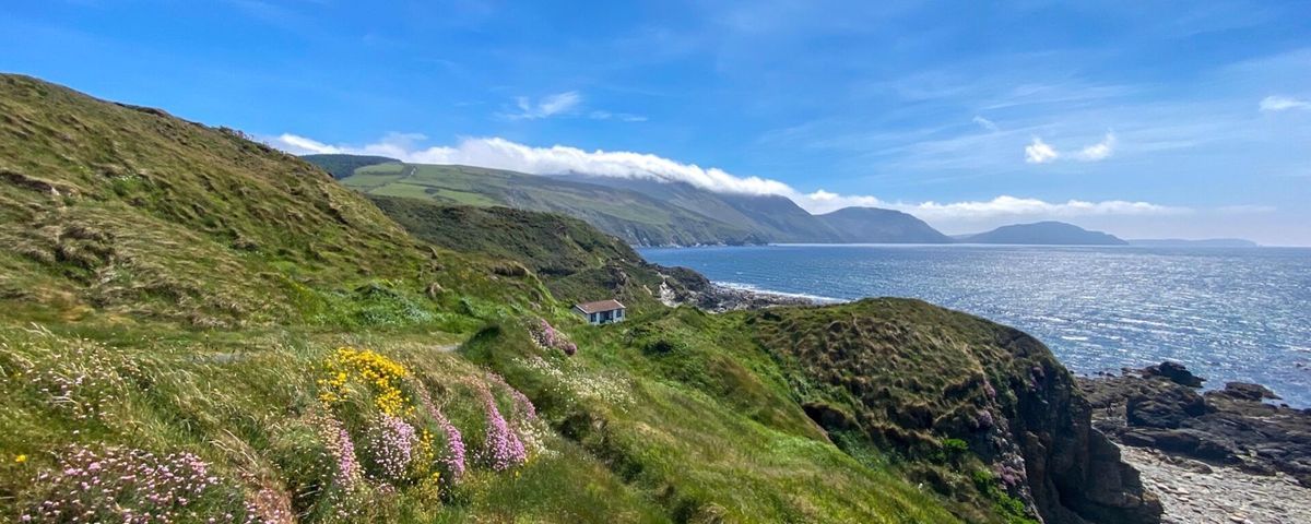 Manx Wildlife Trust