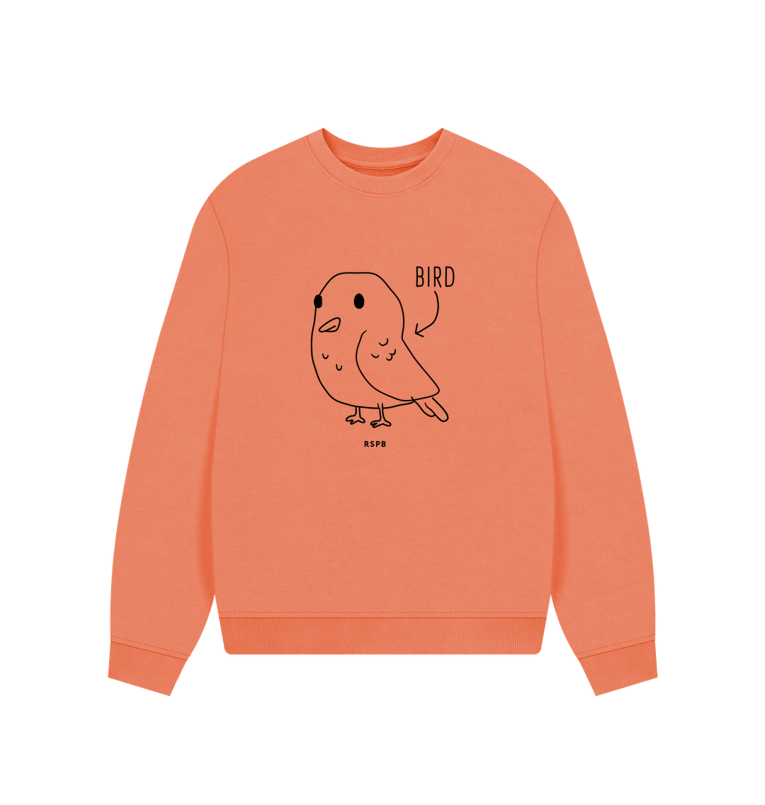 This Is A Bird Oversized Jumper