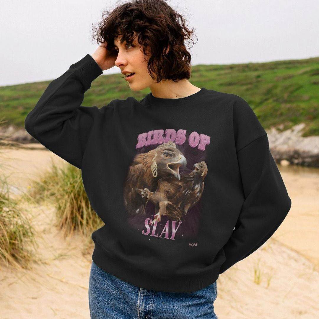 Birds Of Slay Oversized Jumper