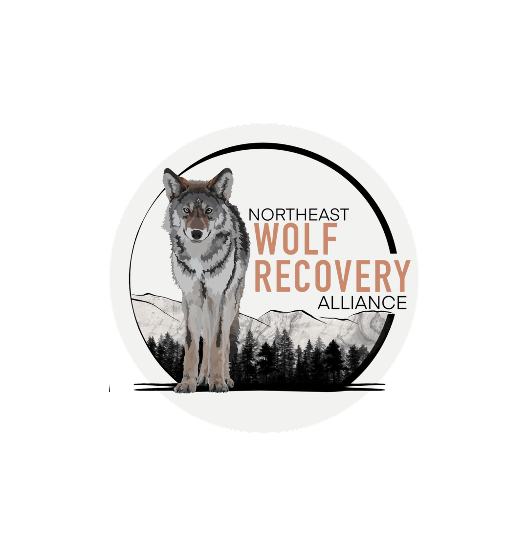 Northeast Wolf Recovery Alliance sticker