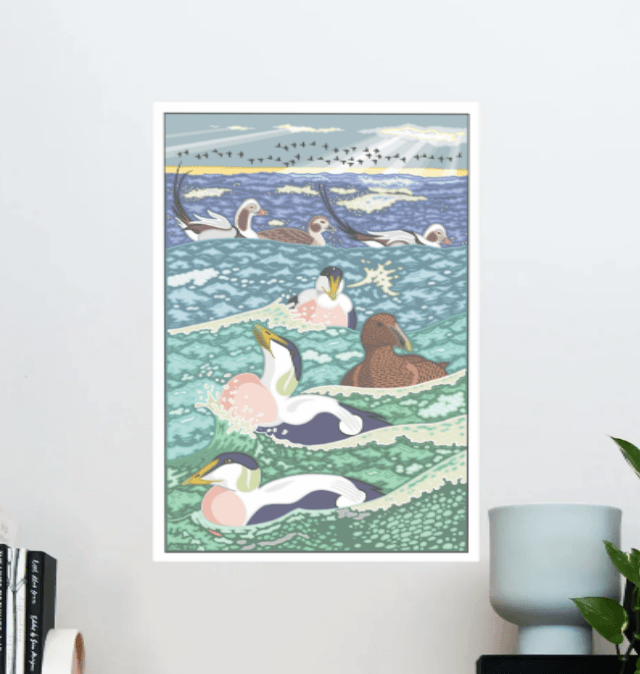 Colin Wilkinson Sea Ducks Art Print (Large)