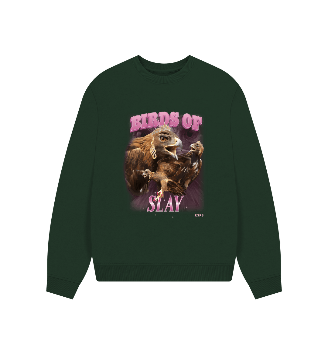 Birds Of Slay Oversized Jumper