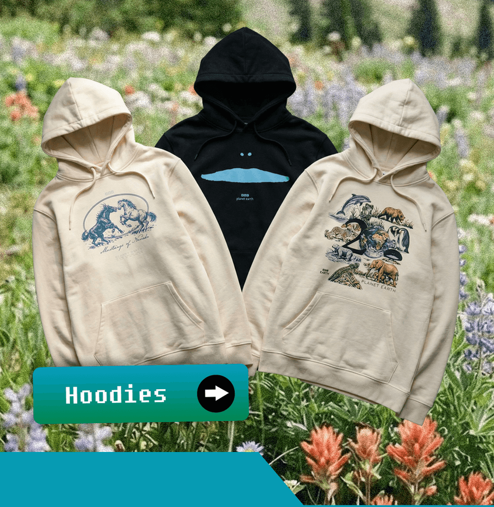 Wildlife T-shirts | Official BBC Earth Shop