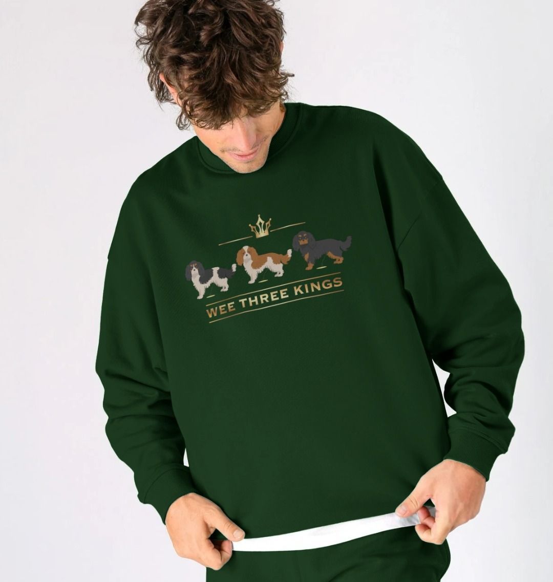 Dogs Trust Wee Three Kings Mens Organic Christmas Jumper