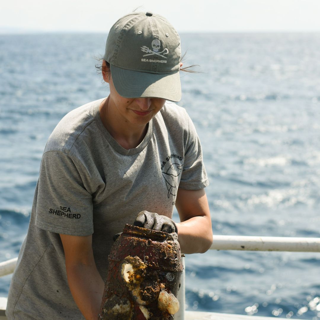 Sea Shepherd Jolly Roger Oat Logo Cap