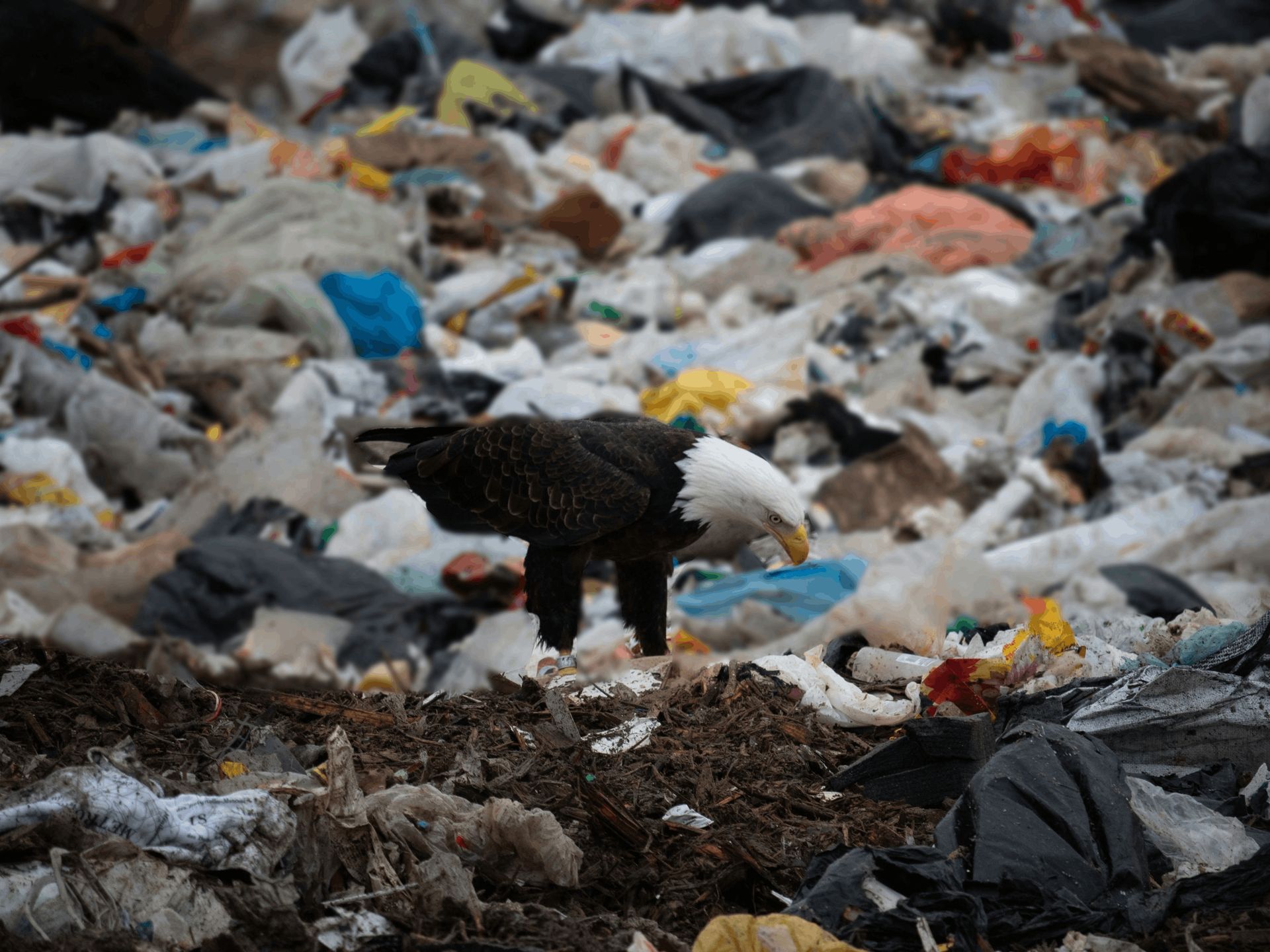 Fast Fashion - What Is The Cost We Don’t See?