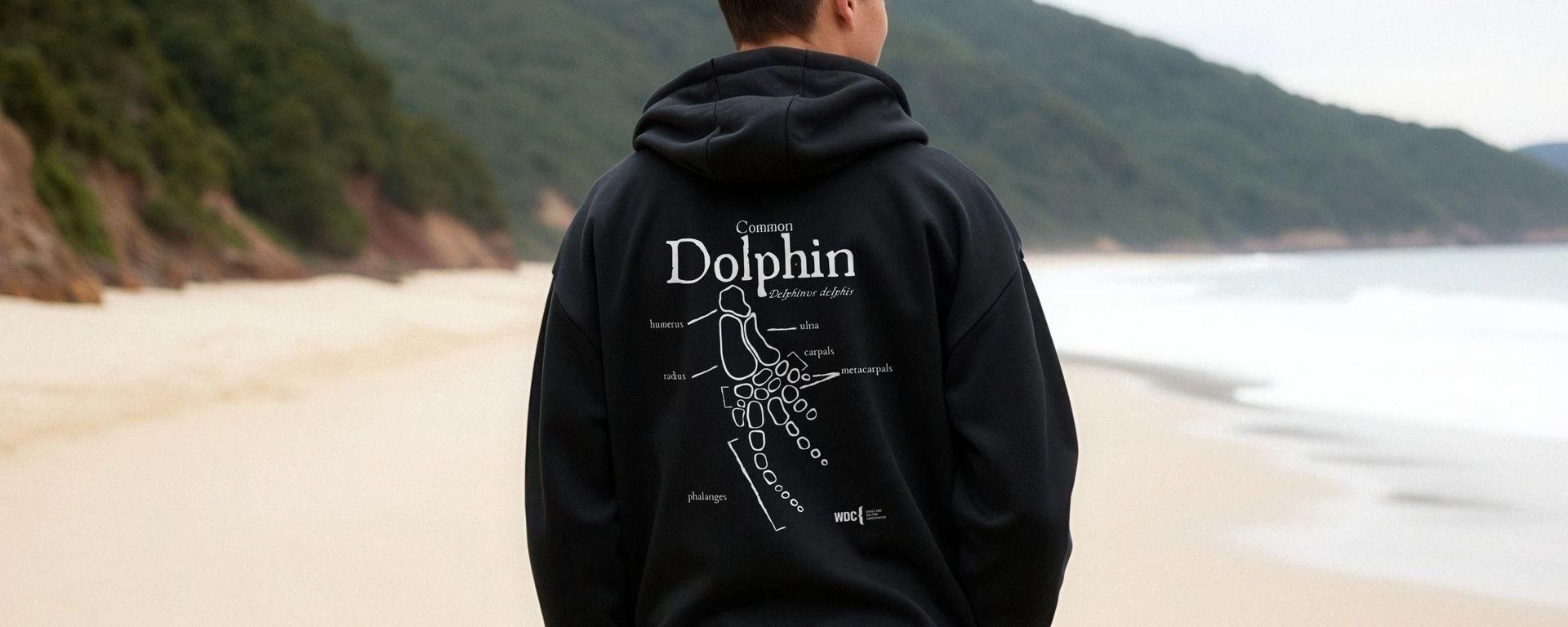 Whale and Dolphin Designs