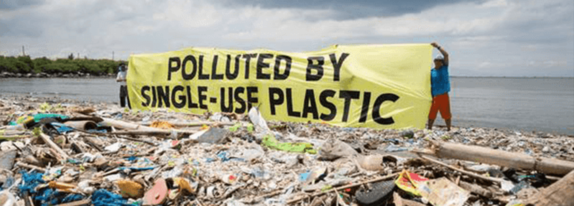 The Big Plastic Count