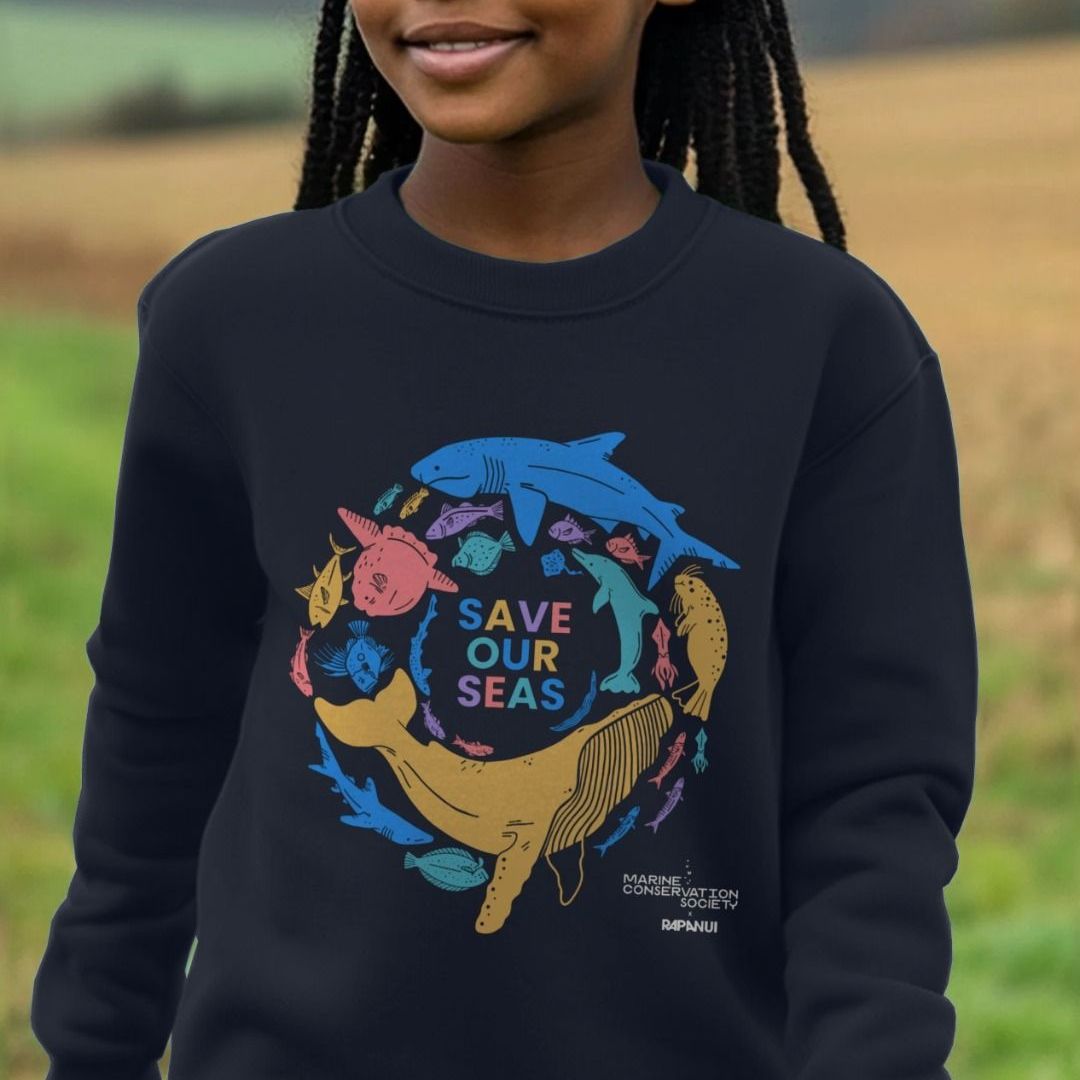 British Marine Life Kids Jumper