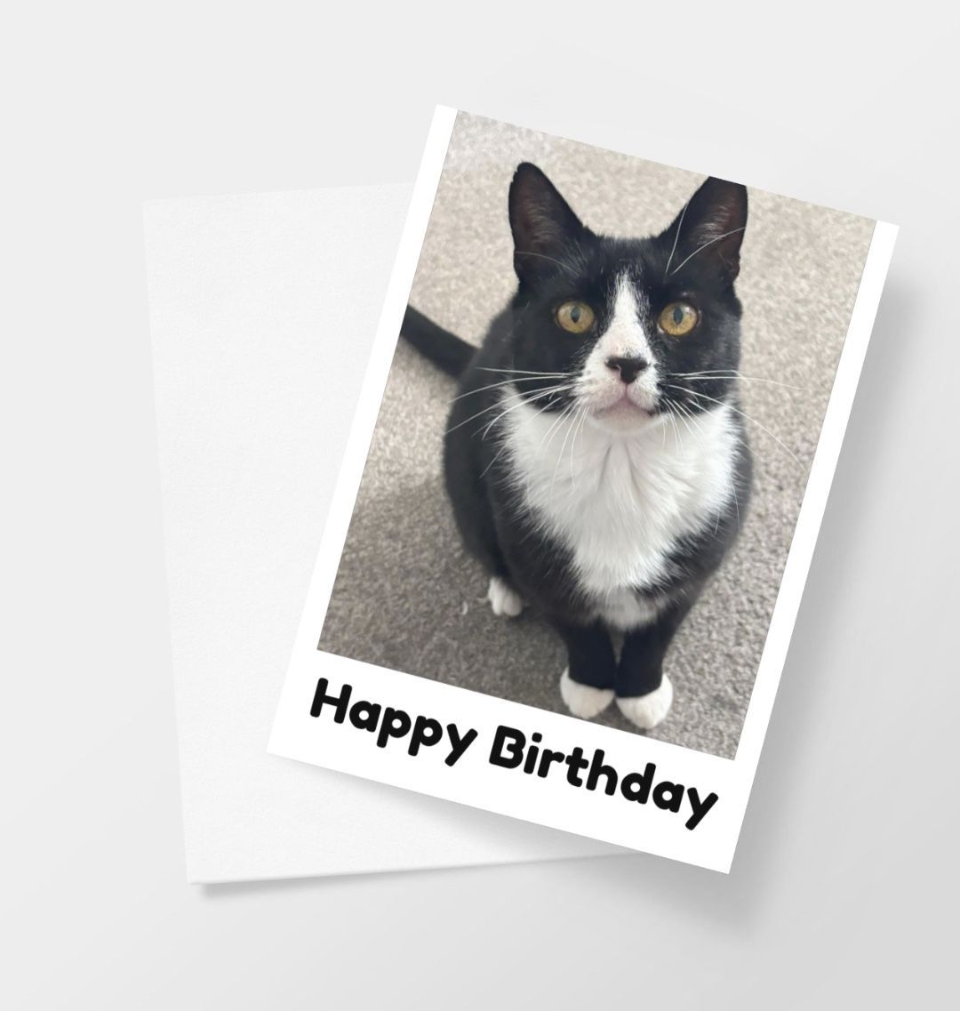 Felix photo happy birthday card