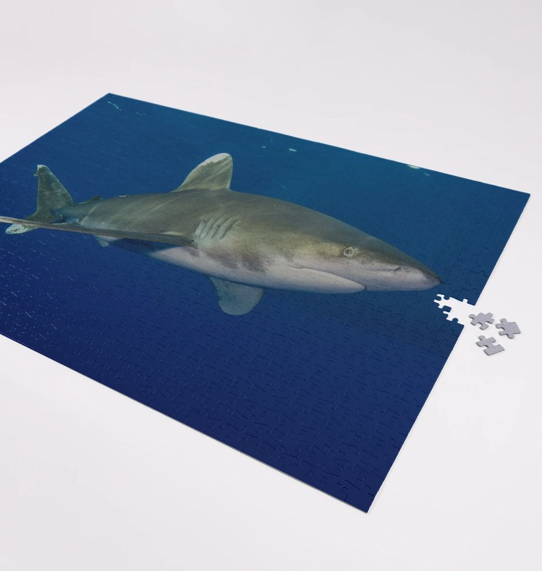 Shark Jigsaw Puzzle | Ocean Puzzle | Shark Trust
