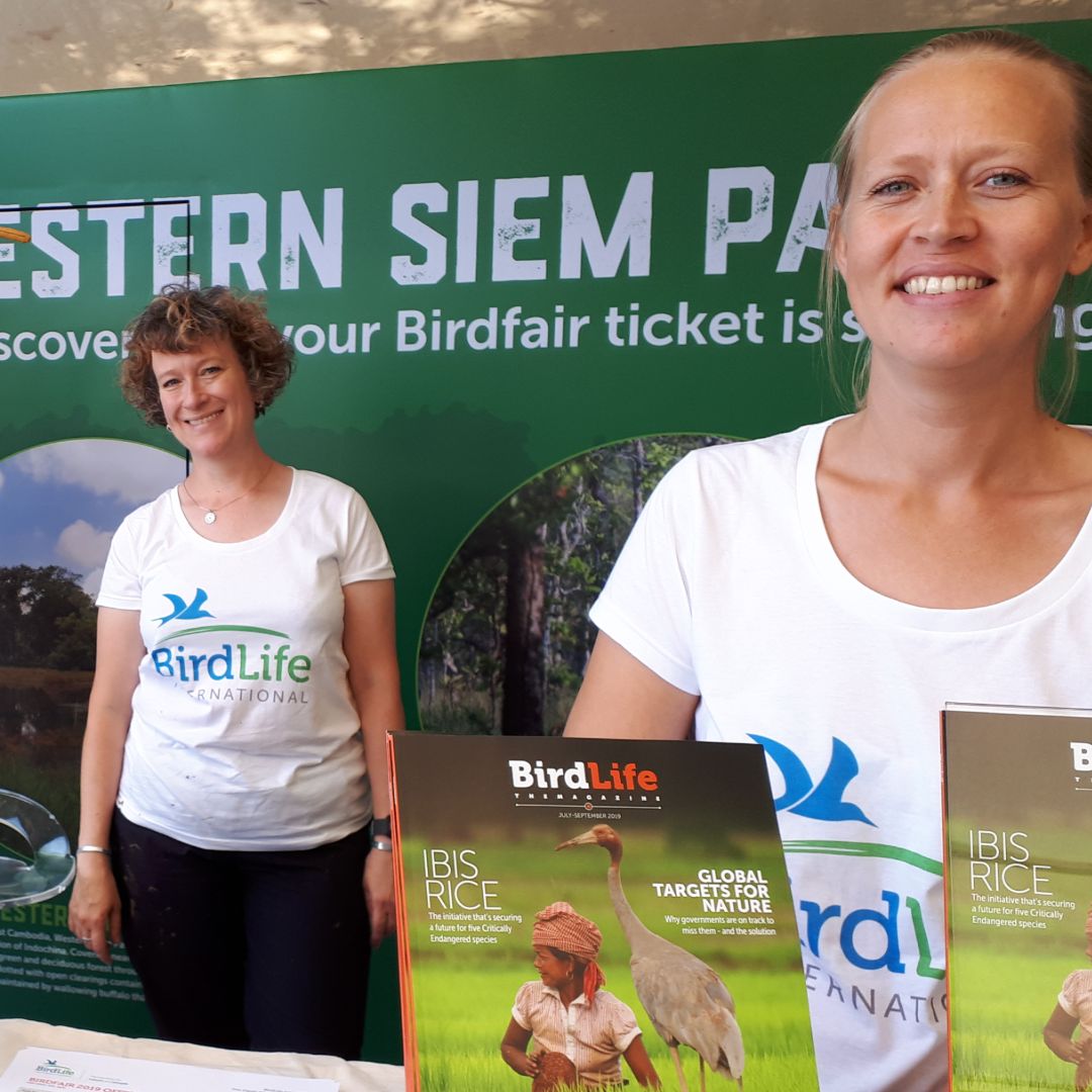 BirdLife International Logo Top