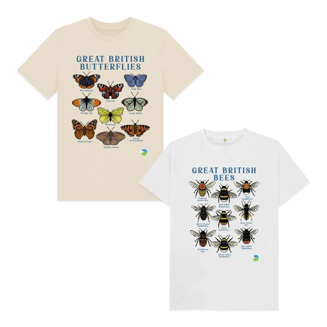 Kids' Great British Insect Bundle