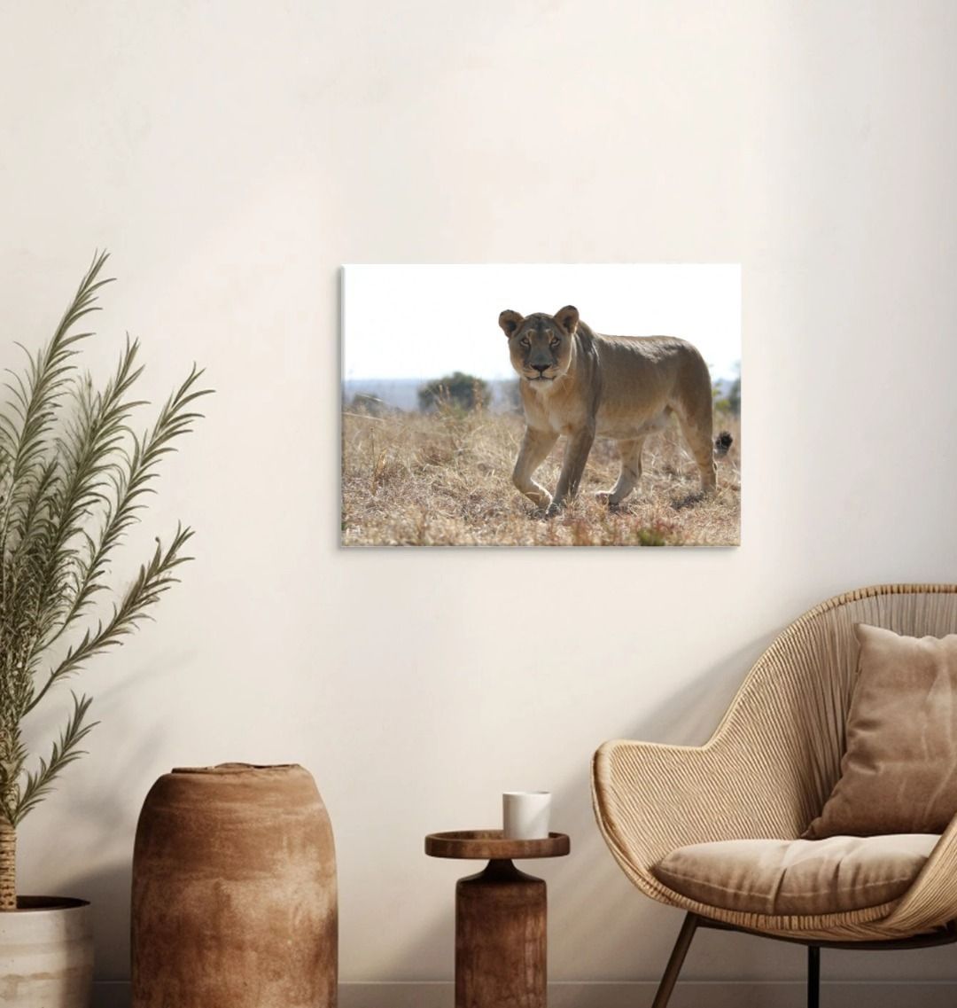 Gabby Canvas Print