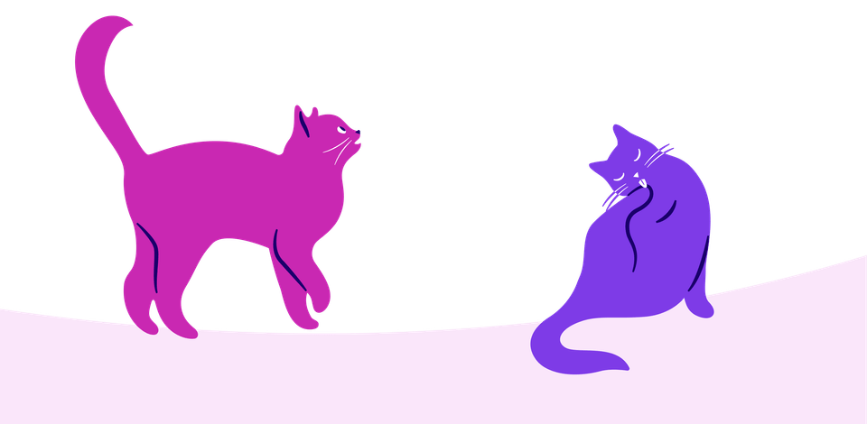 Cat T-shirts | Official Cats Protection Store