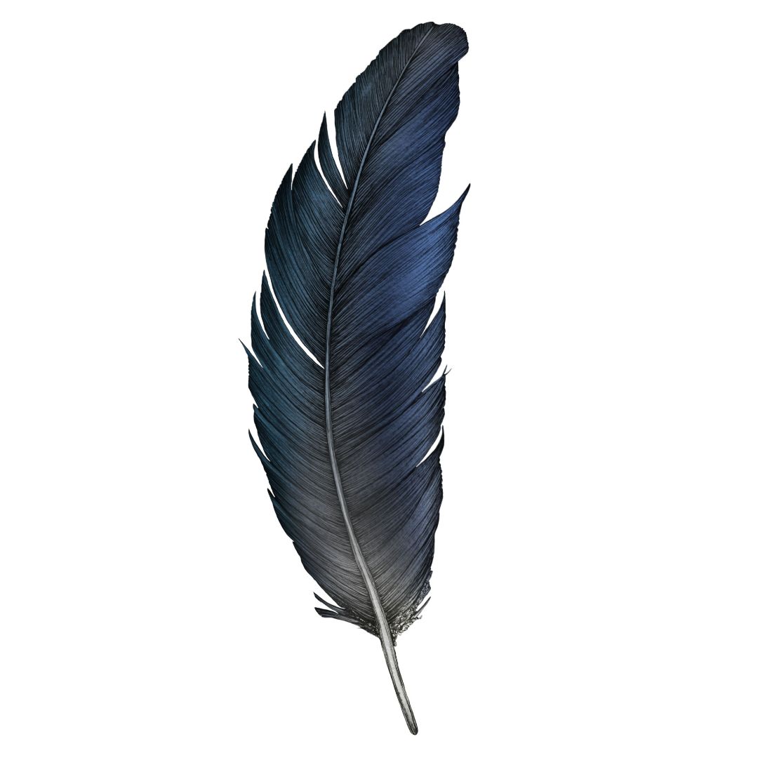 Raven Feather T-Shirt