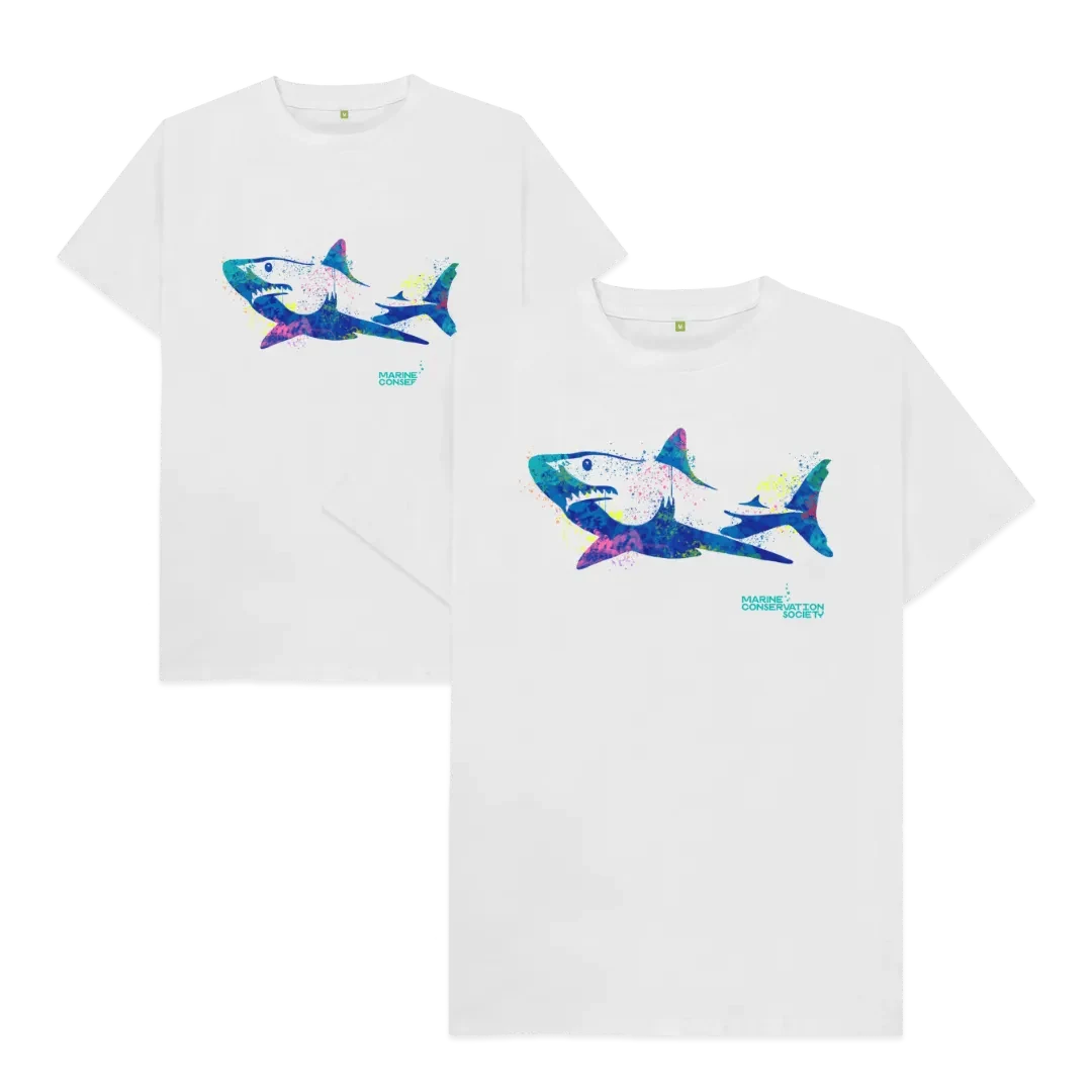 Mini Me Shark Bundle