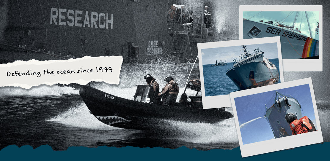 Official Sea Shepherd Merchandise