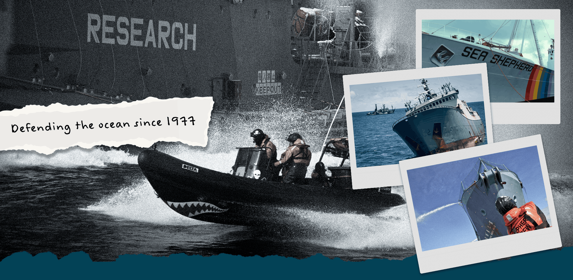 Official Sea Shepherd Merchandise