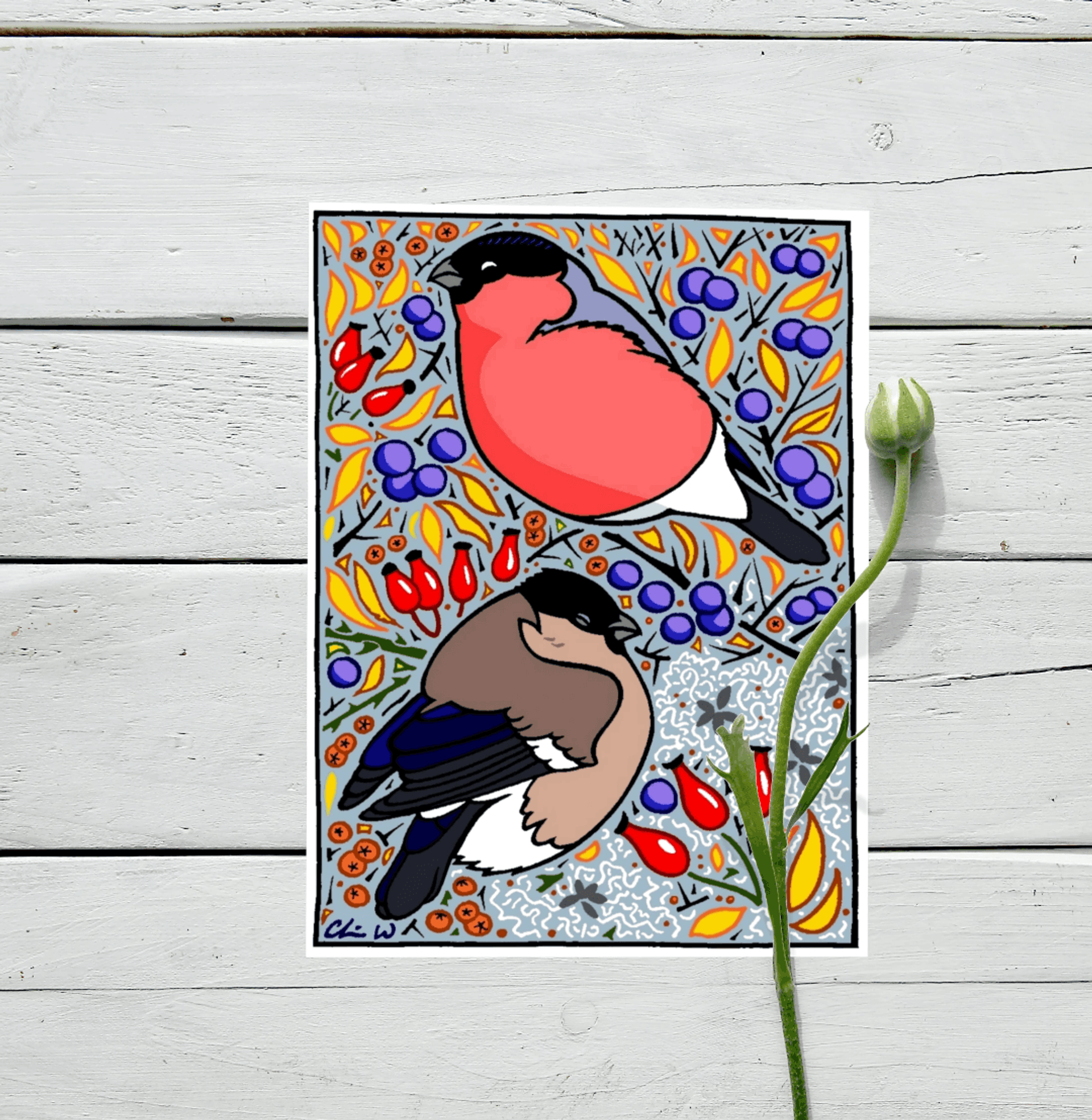 Bird Prints | Official RSPB Shop