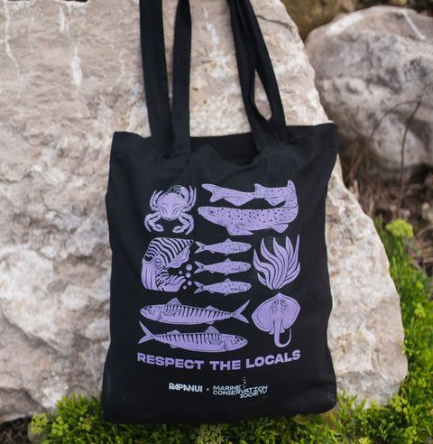 Clean Seas Collection