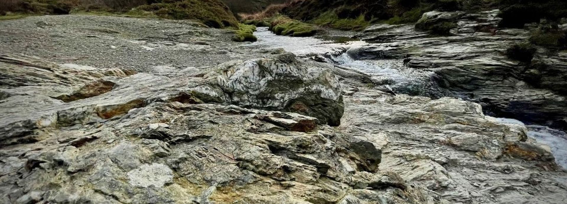 Westcountry Rivers Trust