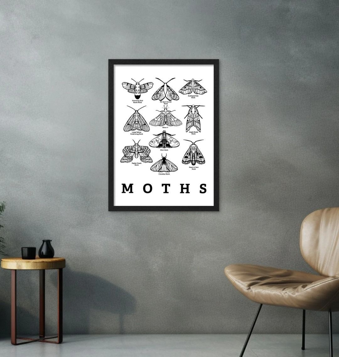 Moth Art Print | The Wildlife Trusts Shop