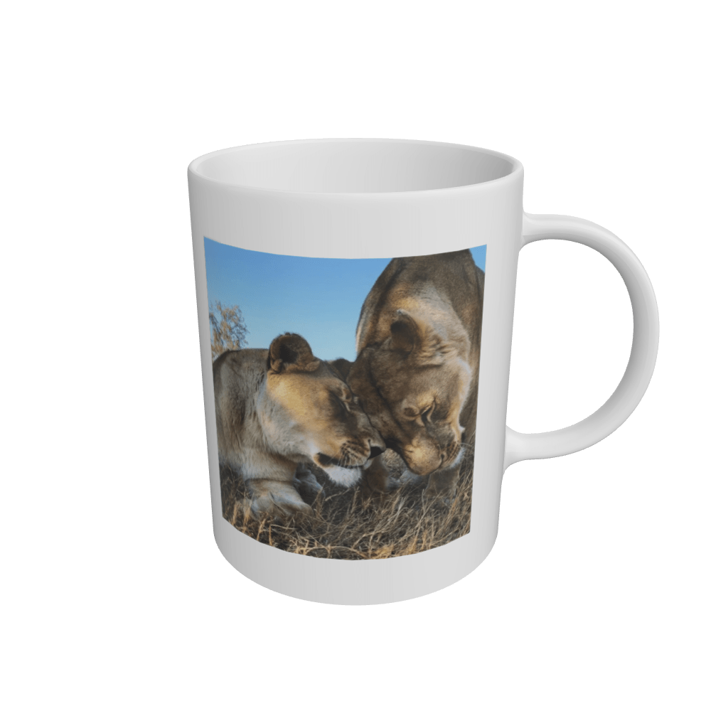 Meg and Amy Mug