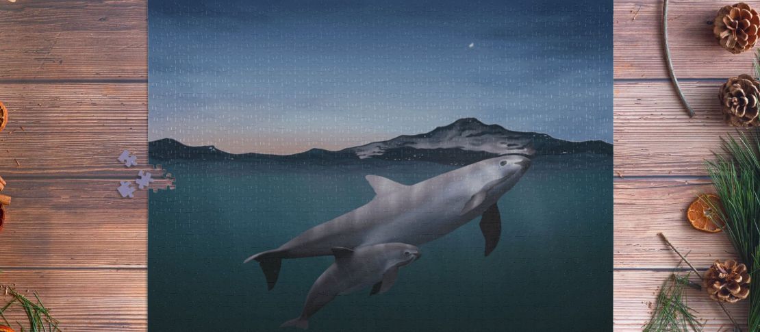 Art Prints and Puzzles