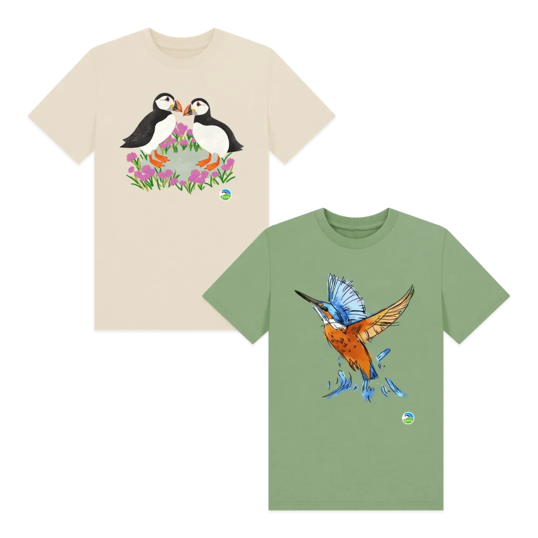 Kid's Bird Bundle
