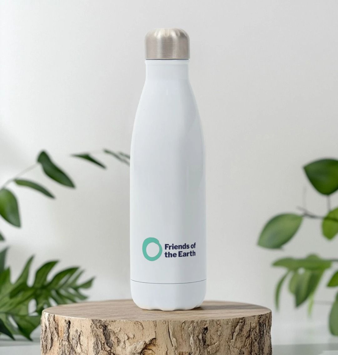Friends of the Earth Stainless Steel Water Bottle