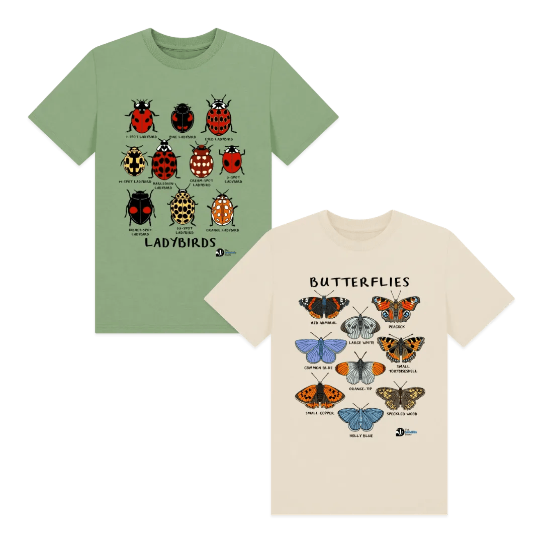 Kids' Insect Identification Bundle