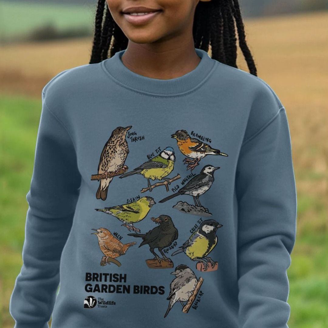 British Garden Birds Kids Jumper