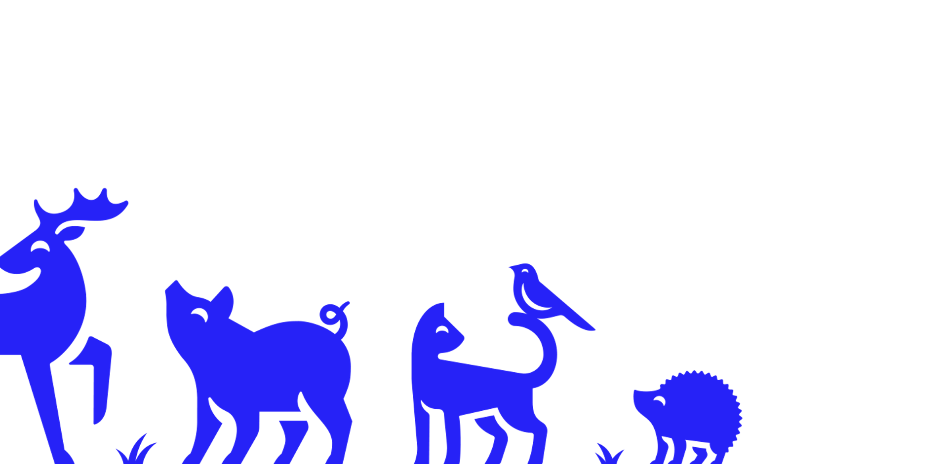 Women | Official RSPCA Clothing